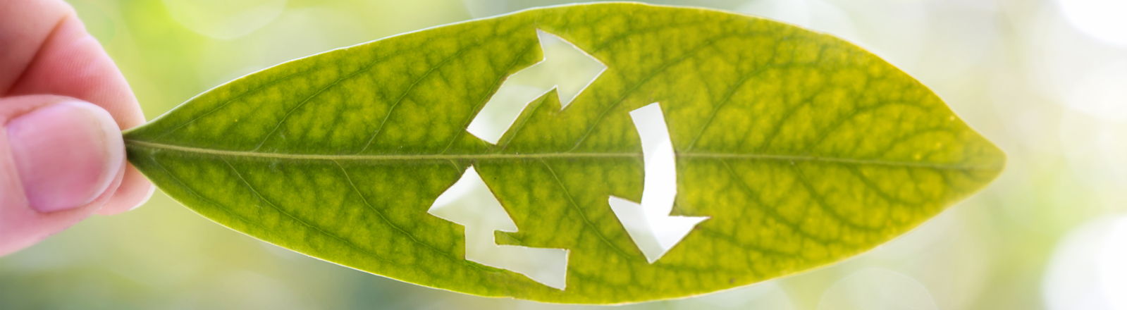 Cooking Oil Collection | Food Waste Recycling | Across The UK | Olleco